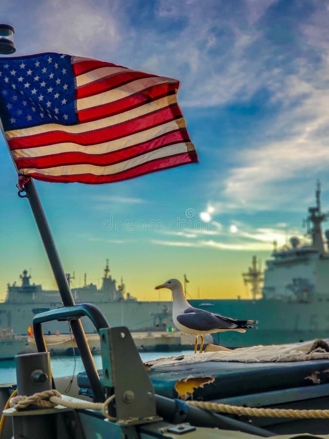 Freedom stock image. Image of navy, freedom, portrait - 135579851