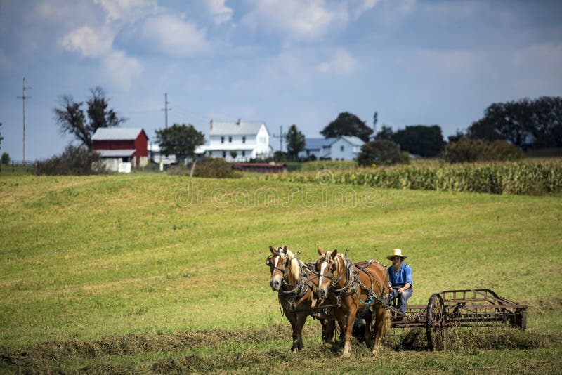 USA - Ohio - Amish editorial photography. Image of amish - 101236512