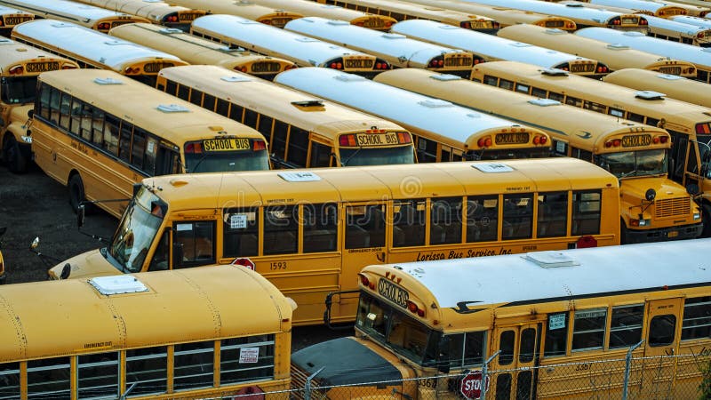 USA Parking Vintage Yellow School Buses Editorial Photo - Image of ...