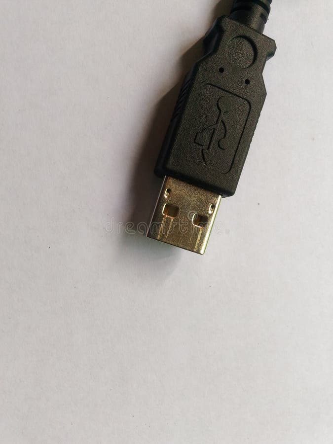 Cable Computer Bus with Plug Stock Photo - Image of connect, bandwidth ...