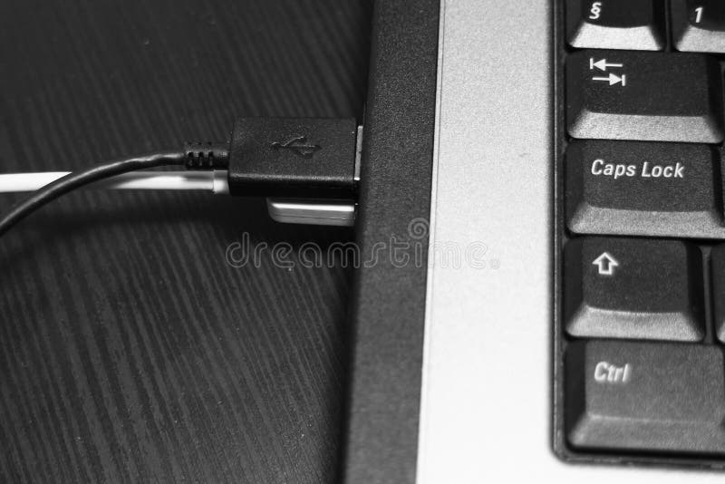 Usb Cords Inserted in Usb Sockets on a Laptop Stock Photo - Image of ...