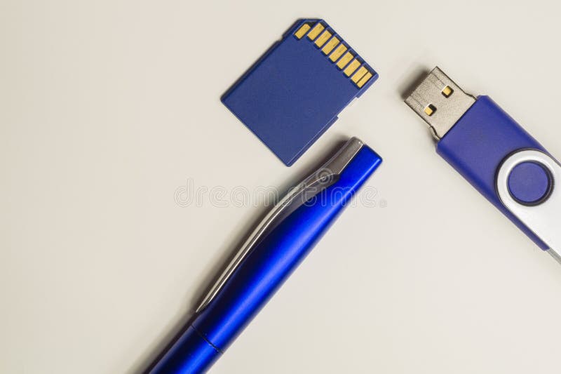 Usb Flash Drive and Memory Card with the Blue Pen. Isolated on White ...