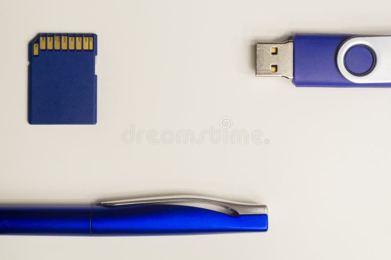 Usb Flash Drive and Memory Card with the Blue Pen. Isolated on White ...