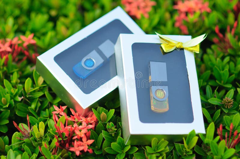 USB Flash Drives in a Gift Set Boxs Stock Photo - Image of tool ...