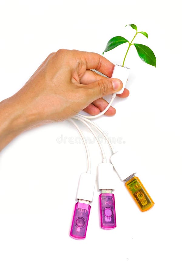 Usb green it stock photo. Image of leaf, volume, growth - 34890668