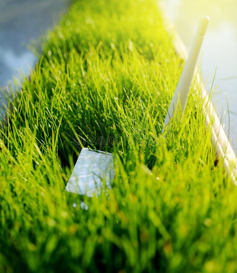 USB Lte Wi Fi Adapter in Green Grass Stock Photo - Image of mobility ...