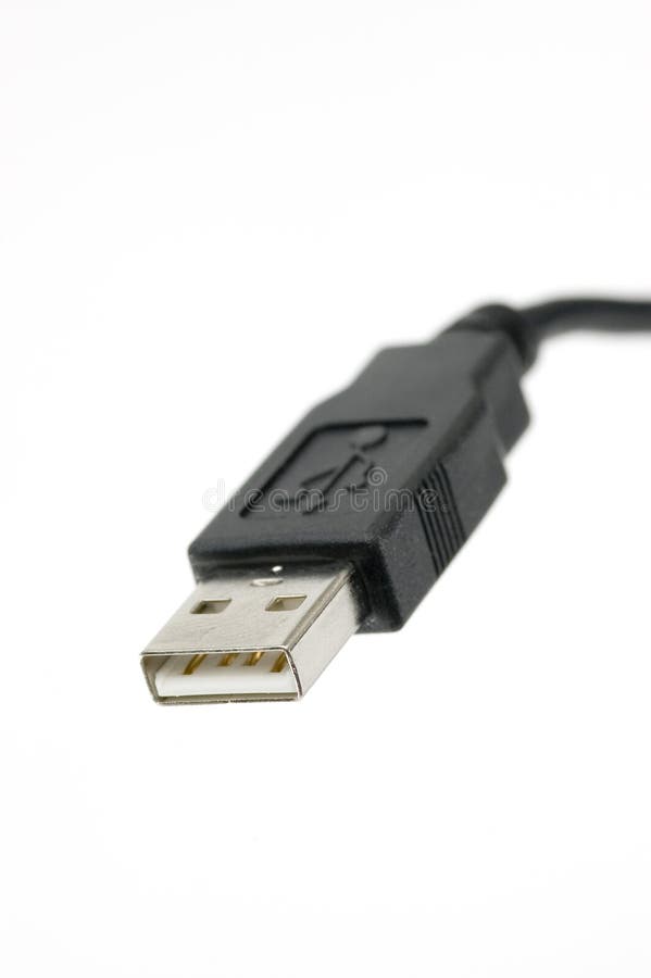 USB Plug Male Picture. Image: 469819