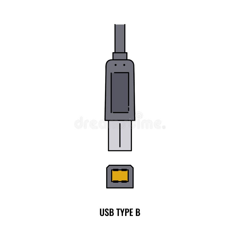 USB Type B Cable and Plug Connector Isolated on White Background Stock ...