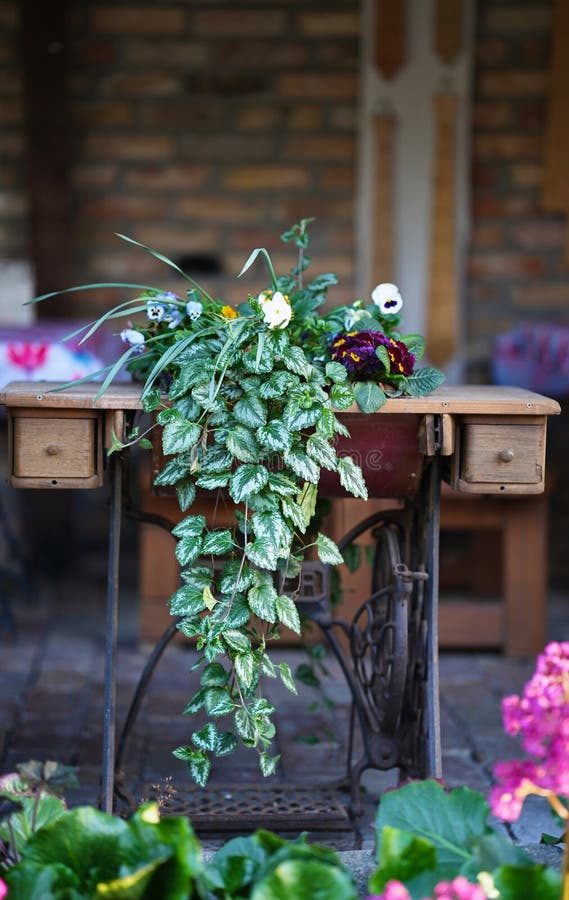 Use of an Antique Sewing Machine As a Decorative Element and a Stand ...