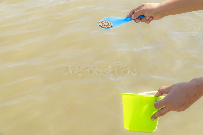 Use a Blue Spoon To Feed the Fish Stock Image - Image of bucket, caviar ...