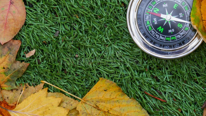 Use Compass in the Forest stock image. Image of device - 160725795