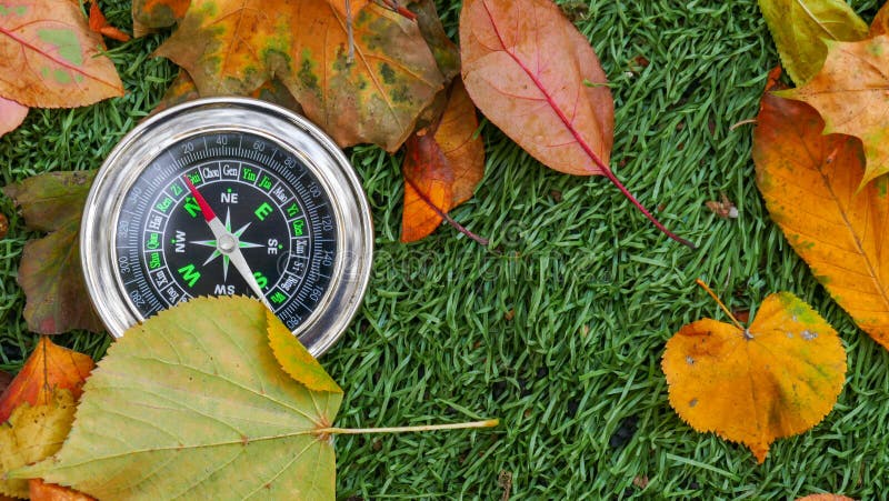 Use Compass in the Forest stock image. Image of navigation - 160725821