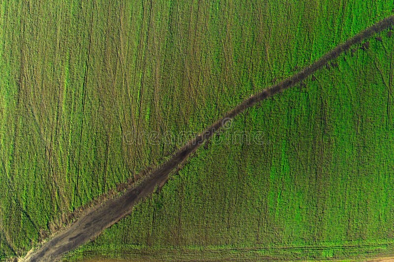 Destroyed Agricultural Crops by Heavy Rains View from the Drone. Stock ...