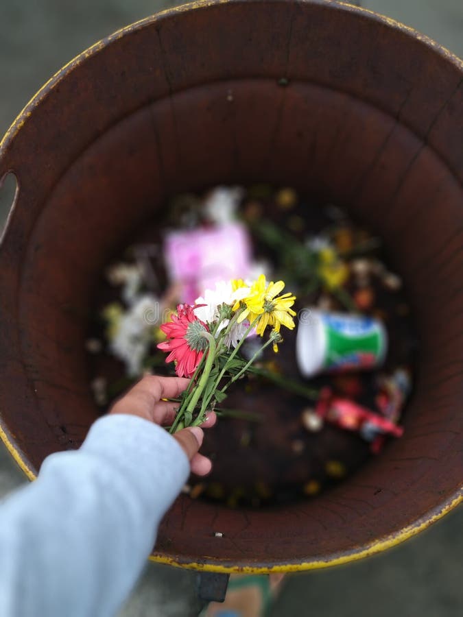 After use the flower stock photo. Image of trash, yellow - 209089582