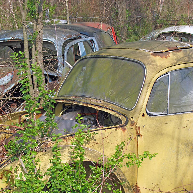 Used Car Collection stock image. Image of autos, blue - 55948463