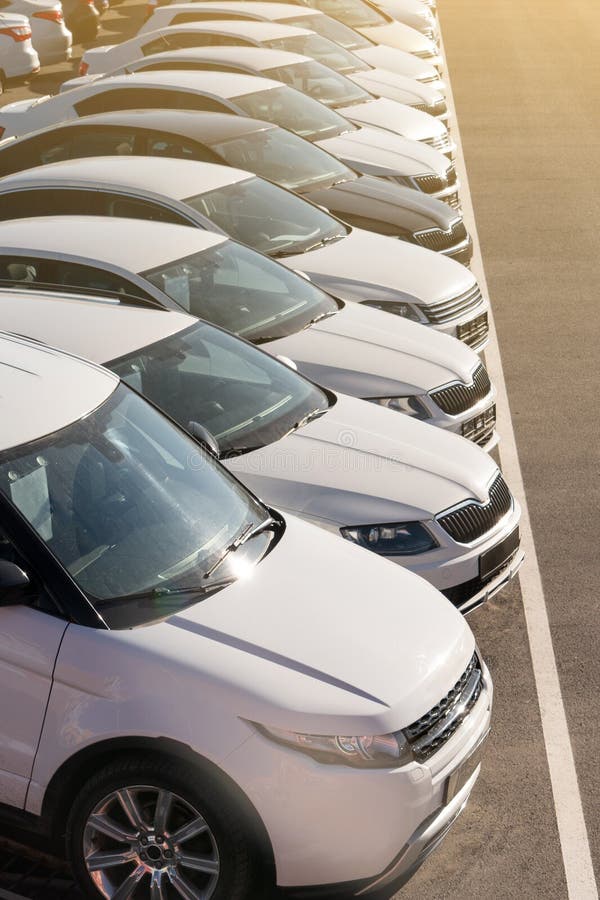 Used car sales stock photo. Image of parked, market - 185318868
