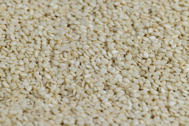 Used in Cooking Sesame Seeds Stock Image - Image of harvest, condiment ...