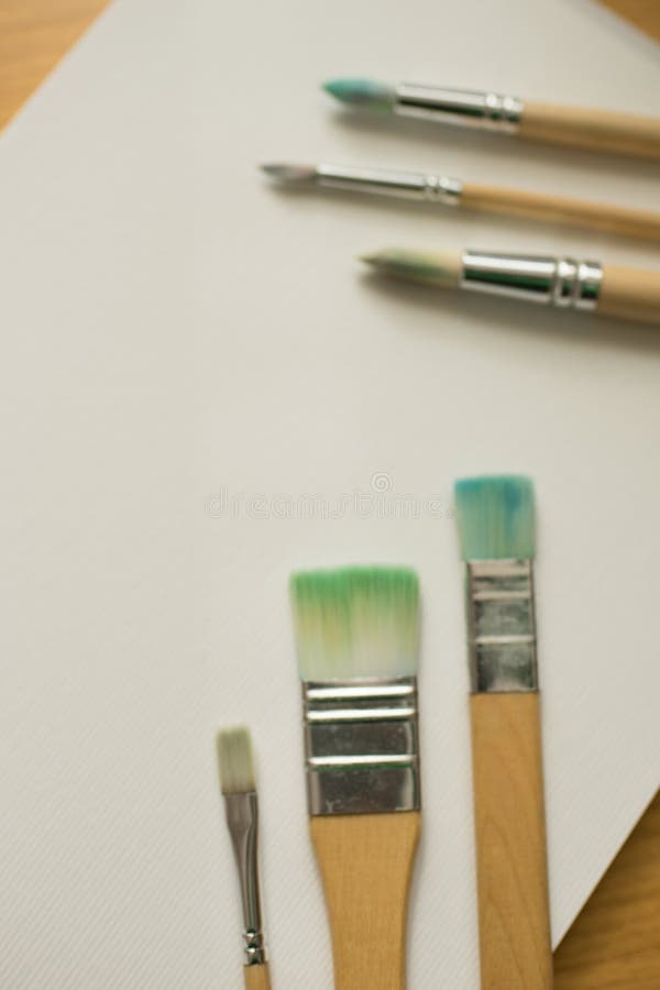 Used Different Brushes for Painting on the White Paper Stock Image ...