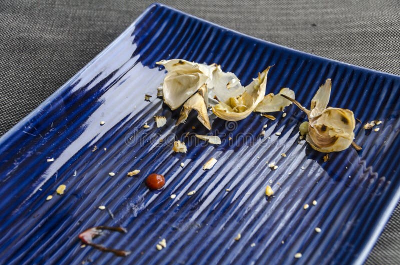 Used dinner plate stock image. Image of skins, conceptual - 95797967