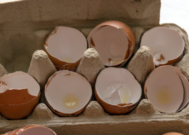Used and Empty Egg Shells, Eat Cooking Concept Stock Photo - Image of ...