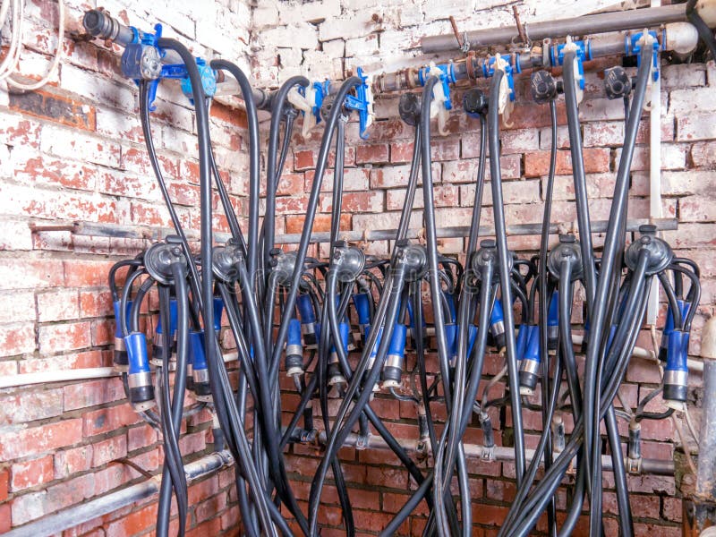 Resin Hoses Stock Photos - Free & Royalty-Free Stock Photos from Dreamstime