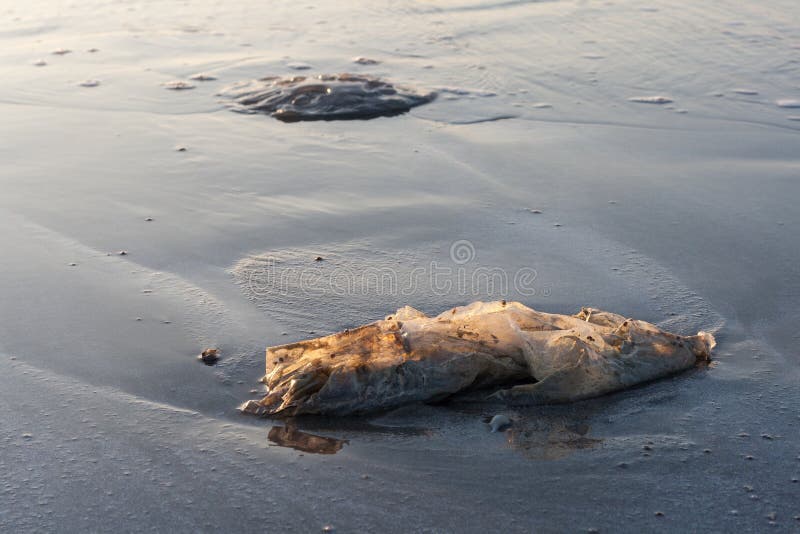 Used Plastic Bag Garbage on Sand Beach Stock Photo - Image of ...
