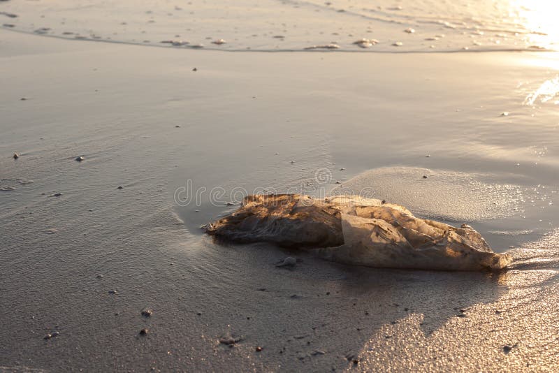 Used Plastic Bag Garbage on Sand Beach Stock Photo - Image of brown ...