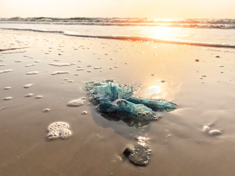 Used Plastic Bag on the Sandy Beach. Plastic Pollution Environment ...