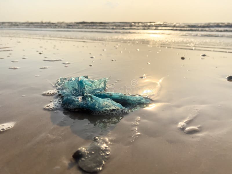 Used Plastic Bag on the Sandy Beach. Plastic Pollution Environment ...