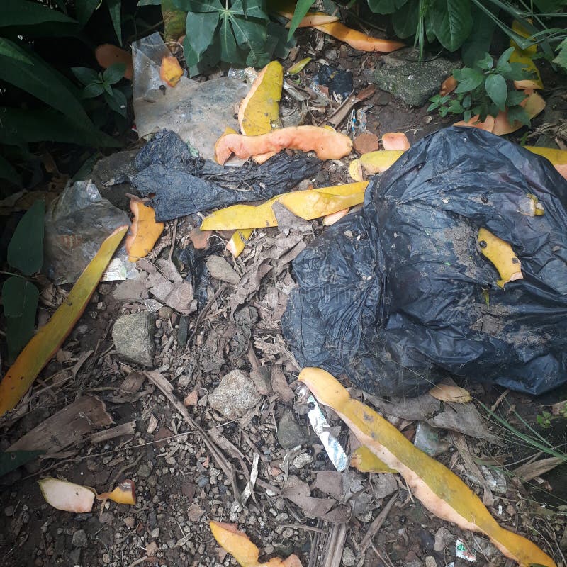 Used Plastic Bag Waste and Fruit Peels Stock Photo - Image of black ...