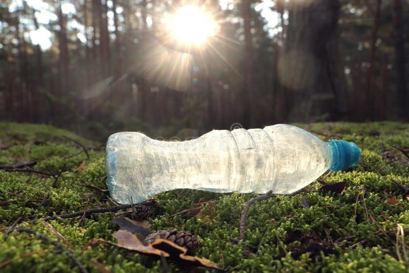 Used Plastic Bottle on Grass in Forest. Recycling Problem Stock Photo ...