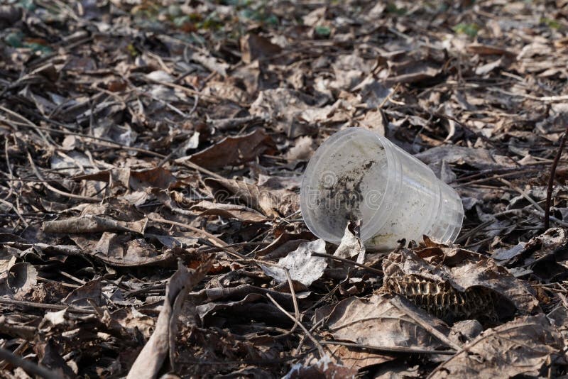 Used Plastic Cup on the Ground, Litter in the Forest on a Dry Leaves ...