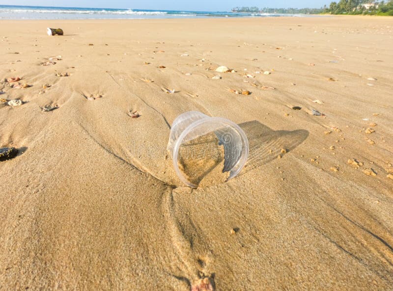 Abandoned Plastic Cup on the Beach. Stock Image - Image of ...