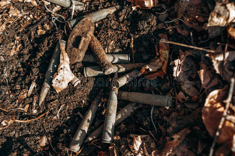 Used Rifle Shells on the Ground in Forest Stock Image - Image of hobby ...