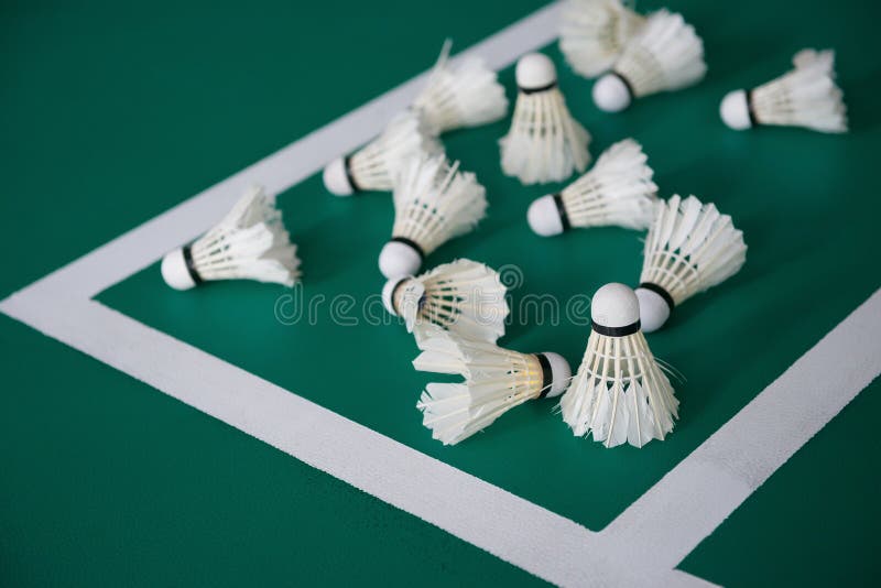 Badminton Courts With Players And Shuttlecocks Stock Image - Image of ...