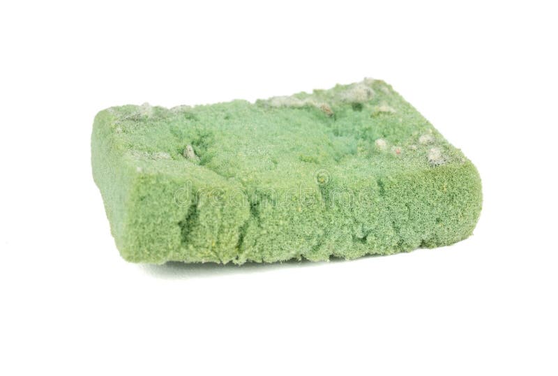 Used Sponge from Agriculture System. Waste and Environment Concept ...