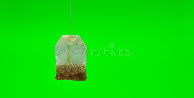 Used Tea Bag on Green Background Stock Photo - Image of stain ...