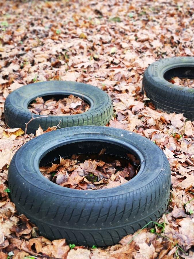 Used tires in nature stock photo. Image of nature, tires - 172446368