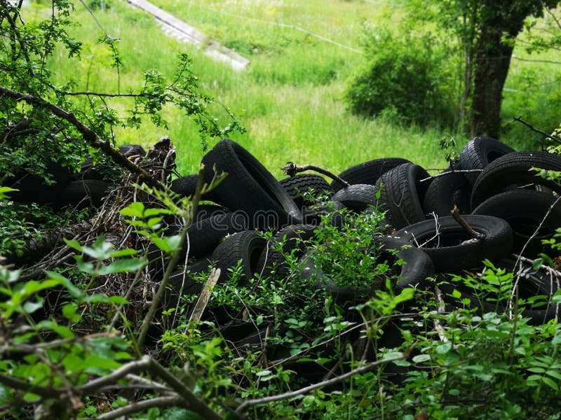 Used tires in nature stock image. Image of industry - 172446465