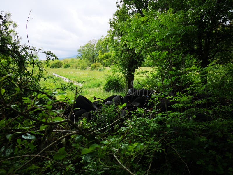 Used tires in nature stock image. Image of ecology, forest - 172446571