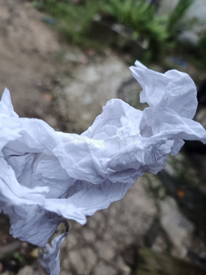 Used Tissue for Wiping Motorbike Stock Image - Image of tissue, wiping ...