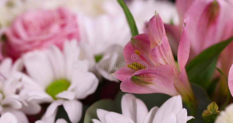 Used To Create a Bouquet of Old Flowers with Defects Stock Footage ...