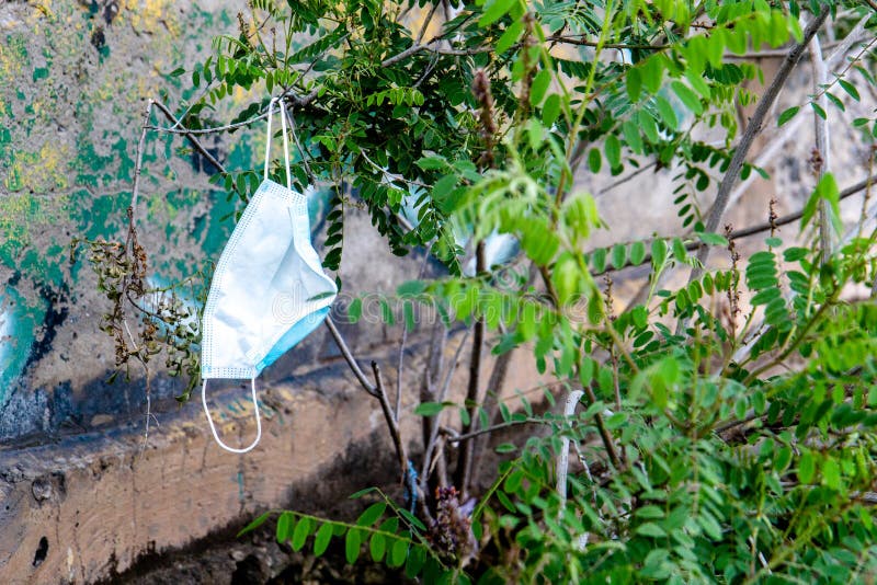 Used White Mask on a Green Bush. Pollution Problem after a Pandemic ...