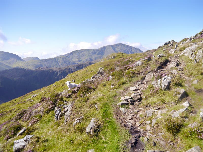 A Winding Path In Mountains Stock Photo - Image of sierra, hike: 1526260