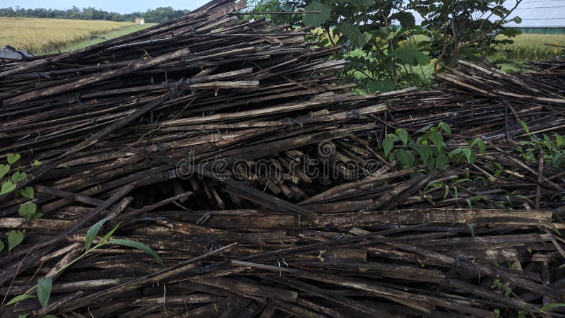 Useless Pile of Weathered Wood Wallpaper Stock Image - Image of pile ...