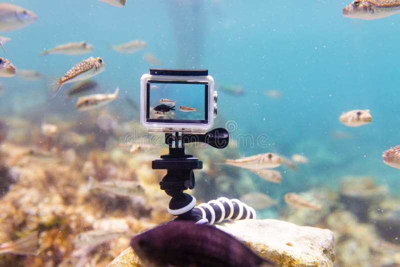 Using Action-camera in Waterproof Box To Make Photos and Video ...