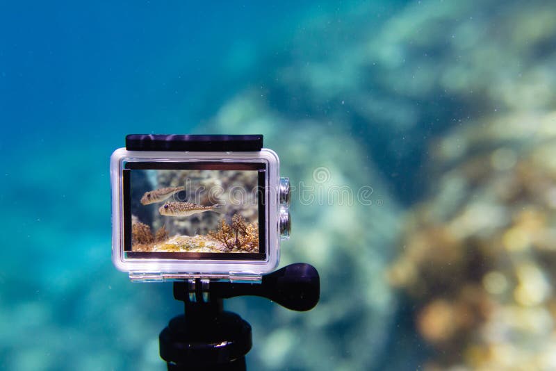 Using Action-camera in Waterproof Box To Make Photos and Video ...