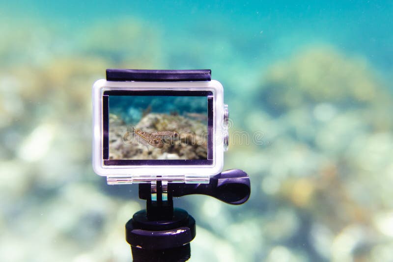Using Action-camera in Waterproof Box To Make Photos and Video ...