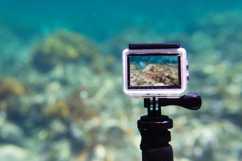 Using Action-camera in Waterproof Box To Make Photos and Video ...