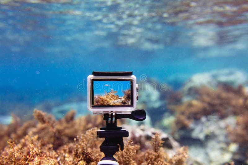 Using Action-camera in Waterproof Box To Make Photos and Video ...